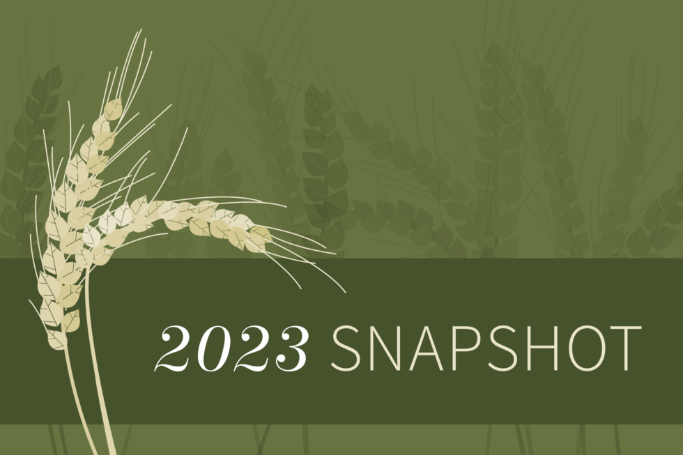 2023 Assets and Grantmaking Snapshot - Catholic Community Foundation